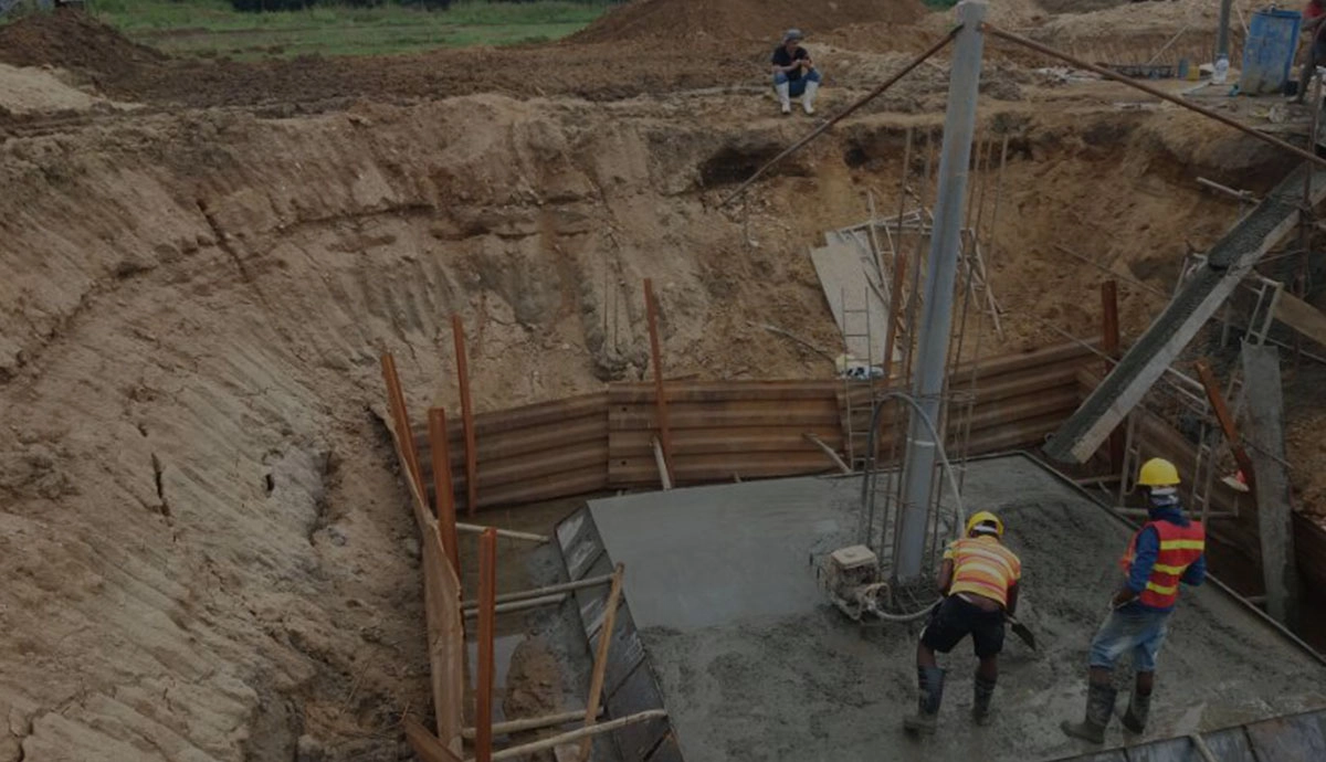 Project Details